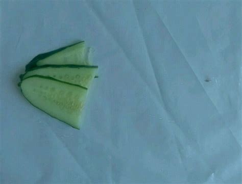 有趣的diy蔬菜拼贴画之可爱的黄瓜鱼制作教程 有点网 好手艺