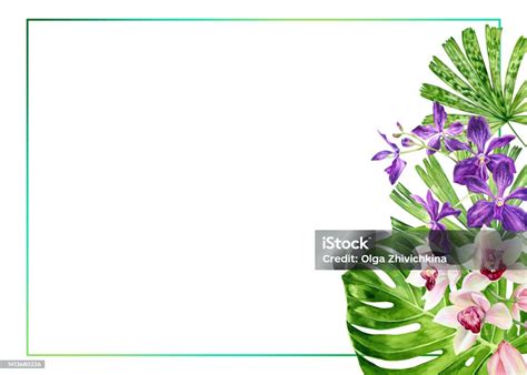 이국적인 꽃과 나뭇잎이있는 수채화 꽃 직사각형 프레임 배너 엽서 결혼식 고정식 인사말 배경 섬유 Diy 포장지에 대한 열대 배경 0명에 대한 스톡 벡터 아트 및 기타 이미지