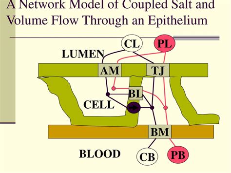 Ppt Relational Systems Theory An Approach To Complexity Powerpoint Presentation Id 5575037