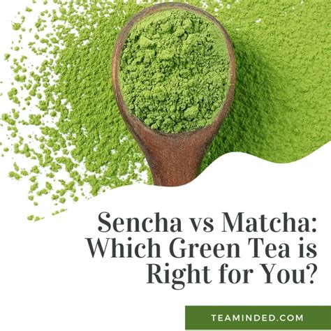 Whats The Difference Between Matcha And Sencha Green Tea