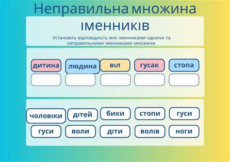 Неправильна множина іменників 6 клас Ілюстрації Українська мова