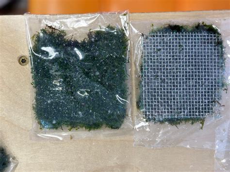 Mini Pelia Moss On Steel Mat Moss Mat Aquascape Low Tech Plant Etsy