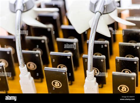 Row Of USB Bitcoin Miners Plugged Into Large USB Board Stock Photo Alamy