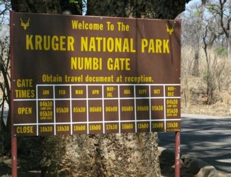 Things To Know About Kruger National Park Safari In South Africa