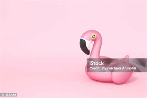 핑크 플라밍고 플로트 파스텔 핑크 배경 3d 렌더링에 열대 조류 모양 풍선 수영장 링 3d 일러스트 여름 미니멀 컨셉 3차원