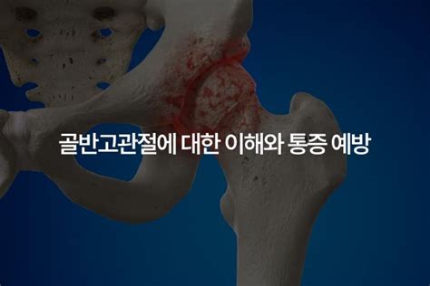 헤이포즈 Heypose 오프라인몰 공식 런칭