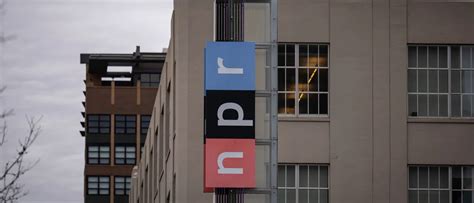 Jad Sleiman Wins Case After Arbitrator Declares Jokes ‘insightful And ‘funny The Daily Caller