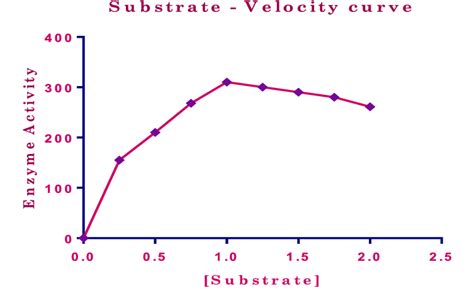 A Hyperbolic Curve Substrate Velocity Curve Of Enzyme Catalyzed