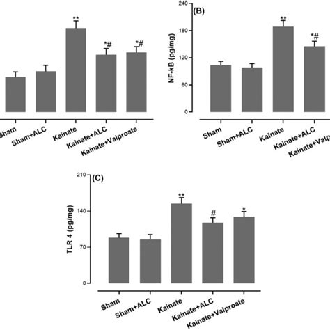 Seizure Activity Scores According To Racine Criteria 05 In Different