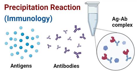 What Is Precipitation Reaction