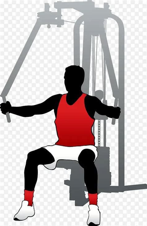 健身人物素材png图片素材下载图片编号qwwnzxre 免抠素材网