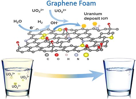 Schematic Depicting The Concept Of Graphene Foam Extracting Uranium And Download Scientific