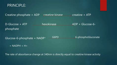 Creatine Phosphokinase Best Slide Pptx