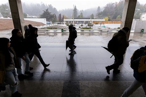 Psicóloga Udec Y Maltrato En Aulas “se Da Que Los Victimarios En La
