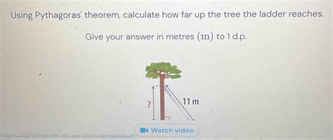 Solved Using Pythagoras Theorem Calculate How Far Up The Tree The