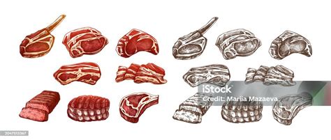손으로 그린 컬러 및 단색 고기 조각 쇠고기 스테이크 햄 돼지 고기 스케치 세트 신선한 육류 제품 메뉴 정육점의 디자인에 빈티지