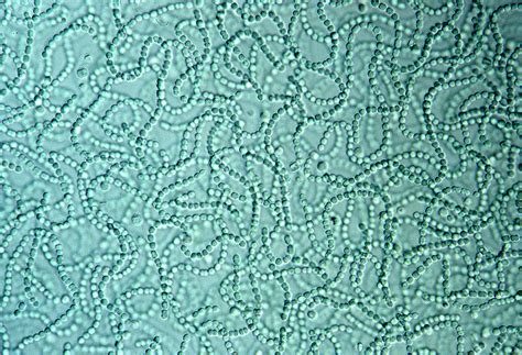 Oxygen Could Have Been Available To Life As Early As 3 5 Billion Years Ago Imperial News