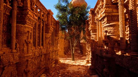A Tree Is Growing Out Of The Ruins Of A Building Stock Video At Vecteezy
