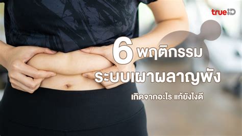 6 พฤติกรรม ทำระบบเผาผลาญพัง ระบบเผาผลาญไม่ดีเกิดจากอะไร แก้ยังไงดี