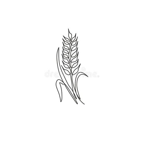 Single Continuous Line Drawing Of Whole Healthy Organic Wheat Grain For