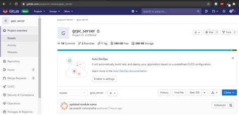 X Pkgsite Gitlab Popcorn Review Grpc Server Issue 45220