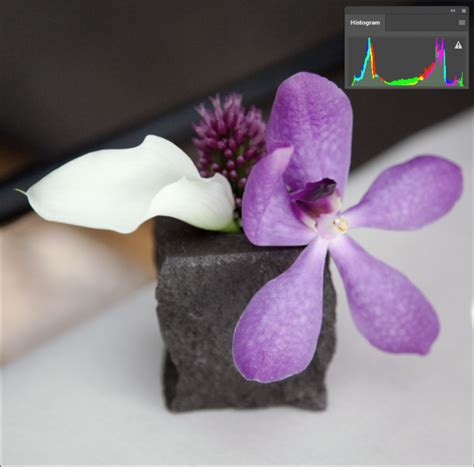 83 Exercise 3 Adjusting The Histogram In Levels Or Curves Digital