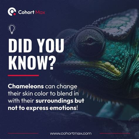 Cohort Max On Linkedin Facts Didyouknowfacts Didyouknow Factshub