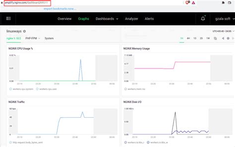 Monitor Your Nginx Webproxy Server Using Amplify Linuxways
