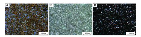 The Microstructure Characteristics Of The Samples A The Sample Come