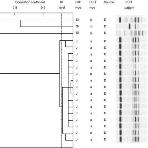 Upgma Dendrogram Derived From Clustering Of The Php Types And Their