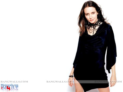 Ihwalls Com World Of Wallpapers Amy Acker Best Desktop Wallpapers Collection HD
