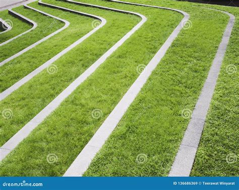 Green Grass Stairs Step Garden Landscape Design Park Outdoor Royalty