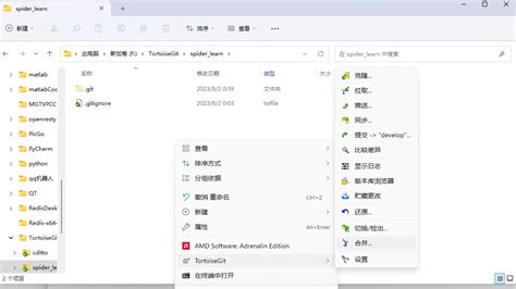 Git可视化工具tortoisegit的使用tortoisegit使用视频 Csdn博客
