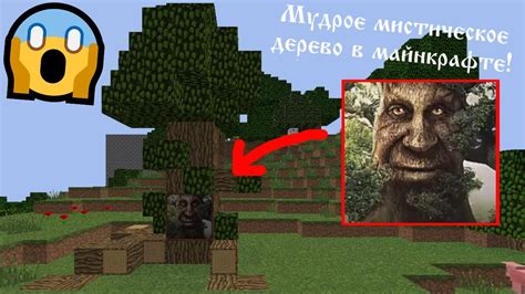 НАШЕЛ МУДРОЕ ДЕРЕВО В МАЙНКРАФТЕ Youtube