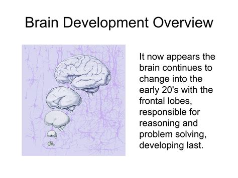 Adolescent Brain Development And Its Effects Pdf