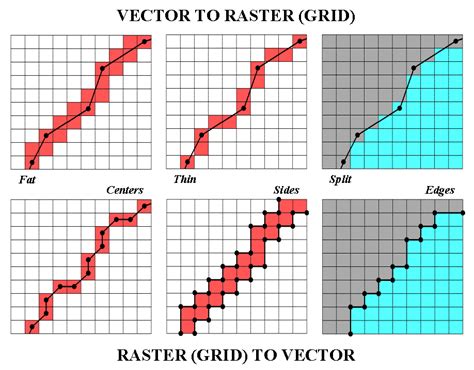 Vector To Raster At Collection Of Vector To Raster
