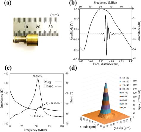 Automated Cell Type Classification Combining Dilated 54 Off