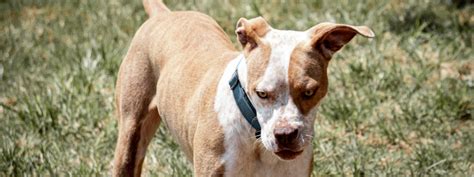 Mean Value Theorem Quiz