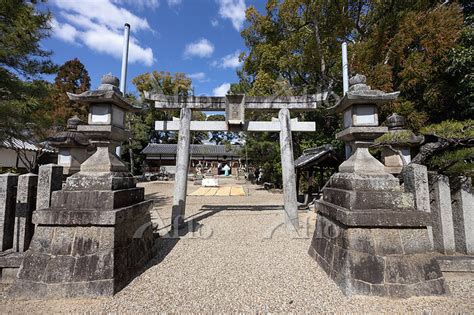 甲斐神社 おんだ祭 奈良県 大和郡山市 246915715 の写真素材 アフロ