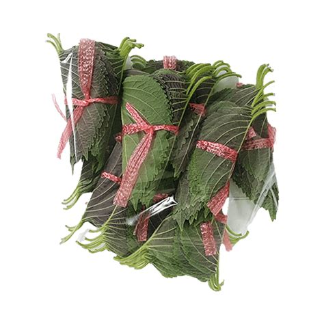 [차별화상회] 국내산 깻잎 특 1kg Pk