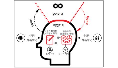 학습과학 새 연재17 효과적인 수업 기술 이중 부호화dual Coding와 멀티미디어 학습경험 설계 원칙의 적용 교육을바꾸는사람들
