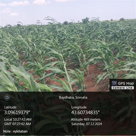 Agricultural Pest Detection And Prevention Action For Social Support And Development