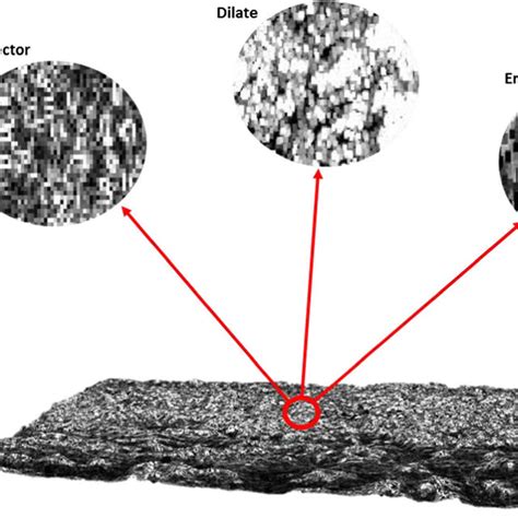three different types of operators rced dilate and erode for image download scientific