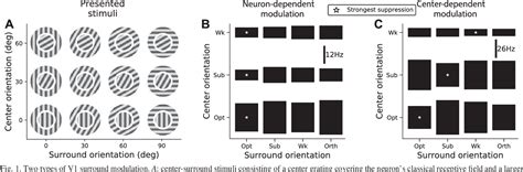 Figure 1 From Effects Of V1 Surround Modulation Tuning On Visual