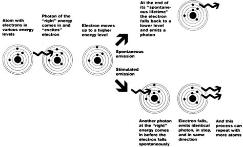 12 A Comparison Between Spontaneous Emission And Stimulated Emission Of Download Scientific