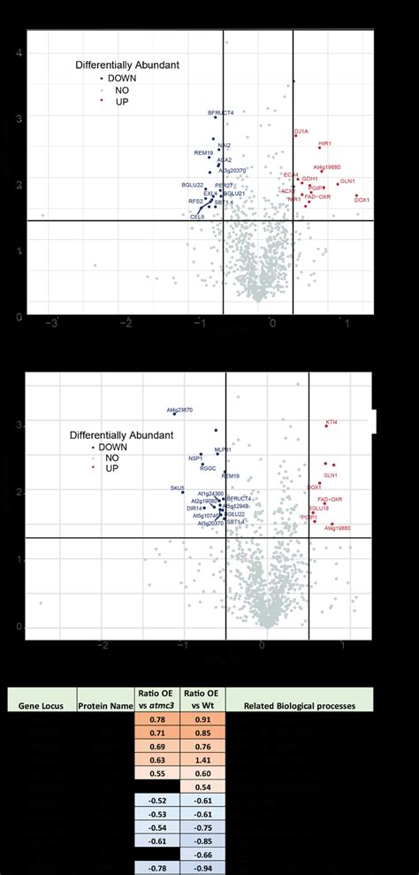 Proteomic Analysis In Root Tissue Showed Differential Abundance Of