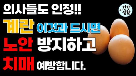 계란 그냥 먹지 마세요 달걀 이것과 같이 먹으면 치매 사라지고 눈이 밝아집니다 Youtube