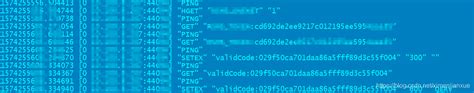 数据库之redis运维手册（私人整理） Csdn博客