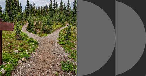 List Experiment Curated By Abhishek Bairagi Medium