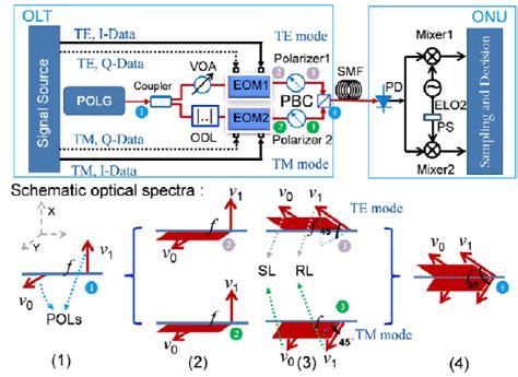 Schematic Diagram Of The Proposed Coherent Dual Polarization Optical Download Scientific